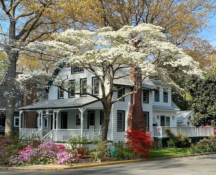 Looking Back, Looking Forward - Reeve Foundation