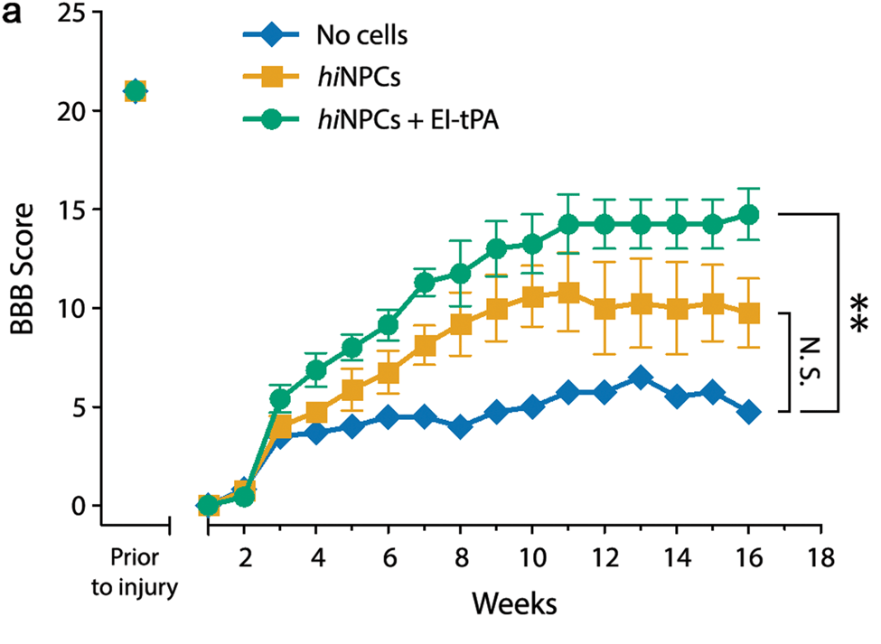 Stem cell therapies, making a comeback? - Reeve Foundation