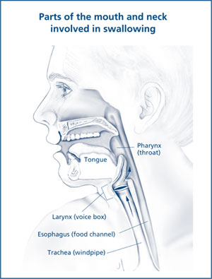 Oral Motor Function In Pediatrics